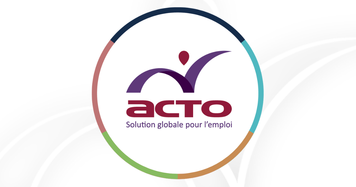 CHAUFFEUR PL CACES GRUE AUXILIAIRE
